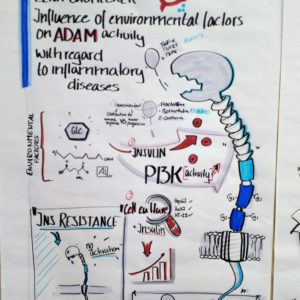 Science | Visualisation | Tools -- sci|vis|to